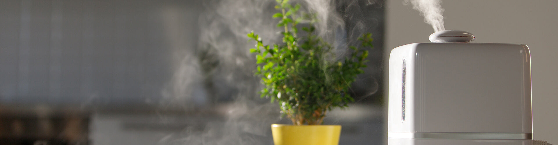 Steam Therapy – Senior.pk